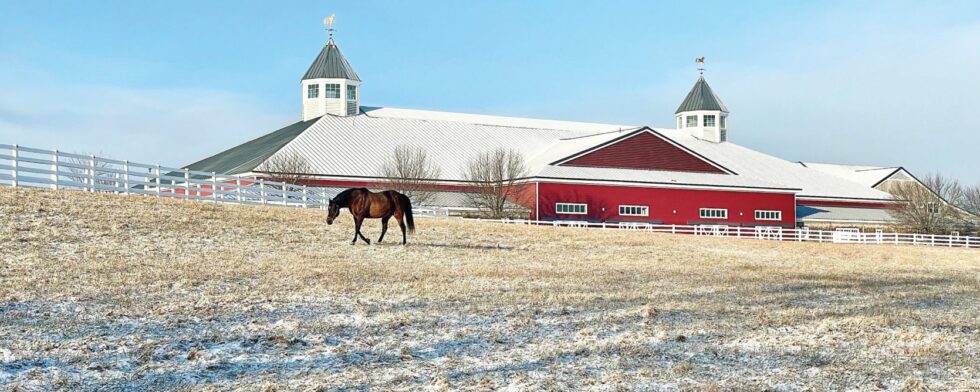 AmRisk Insurance Group - AmRisk Insurance & Financial Services